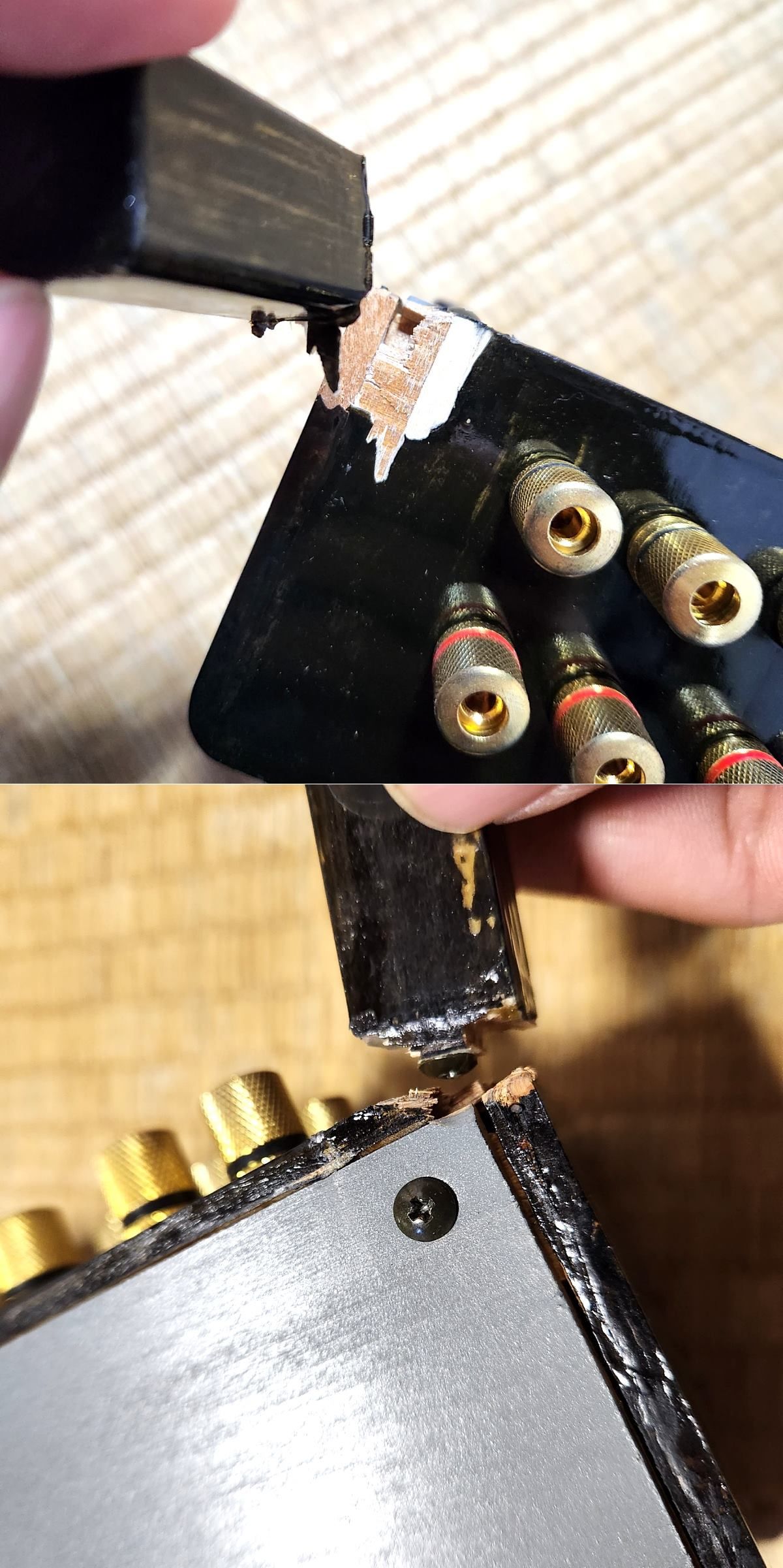 日本代購代標第一品牌【樂淘letao】－KTA laboratory マルチ セレクター 100s23-4702